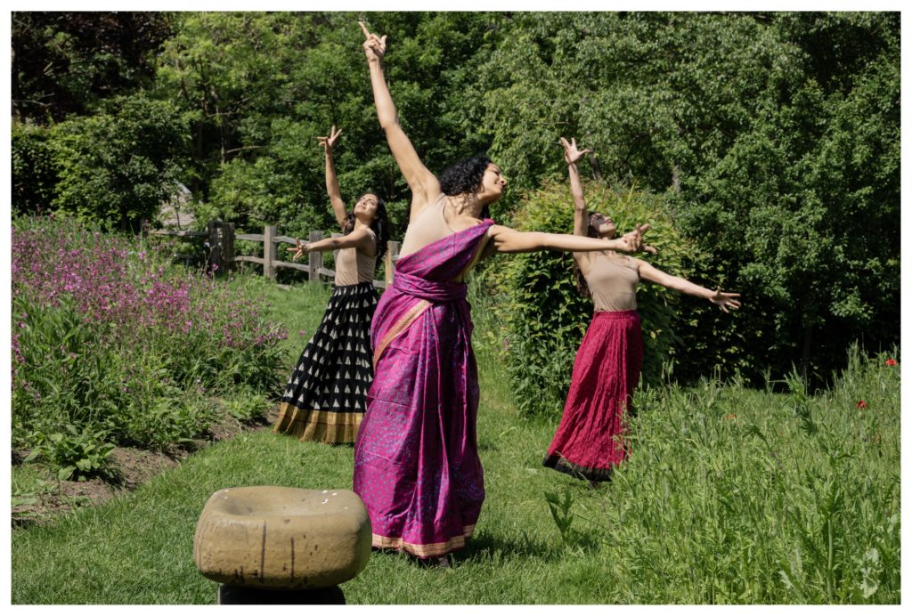 Tracing lineage in Roots to Rise by Nandita Shankardass - dance art journal